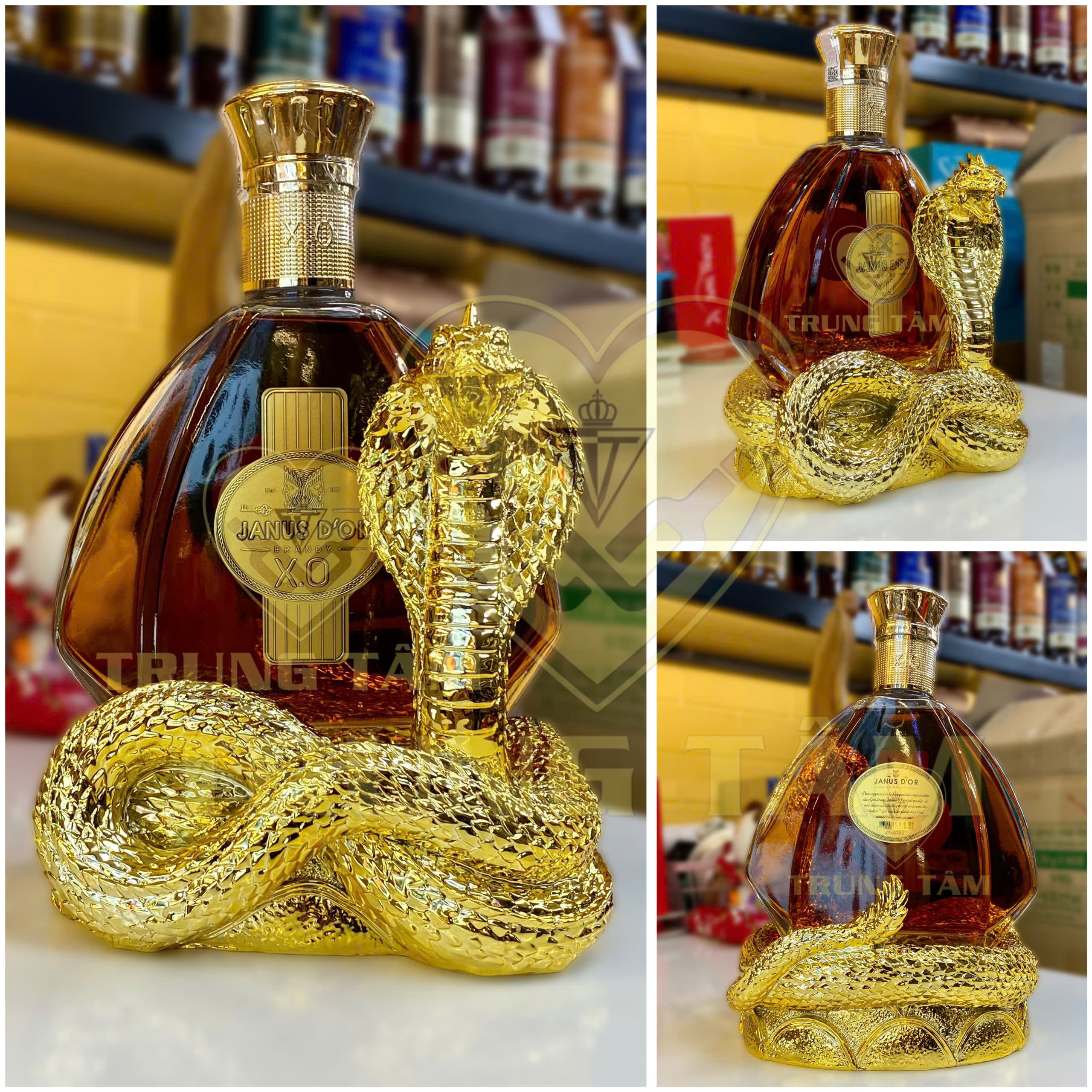 RƯỢU BRANDY JANUS XO KỆ POLY RẮN VÀNG 2025